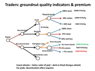 Groundnut value chain analysis in mali | PDF | Agriculture | Industries