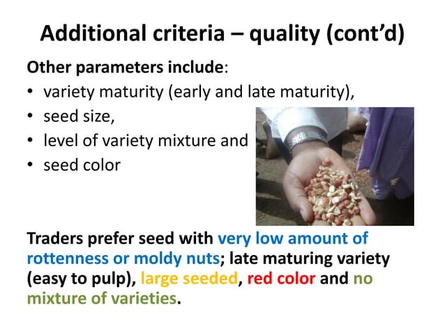 Groundnut value chain analysis in mali | PDF | Agriculture | Industries