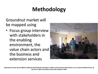 Groundnut value chain analysis in mali | PDF | Agriculture | Industries
