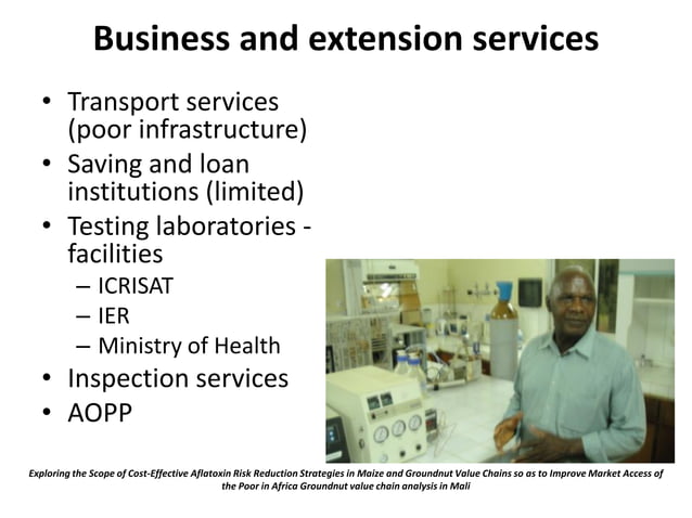 Groundnut value chain analysis in mali | PDF | Agriculture | Industries