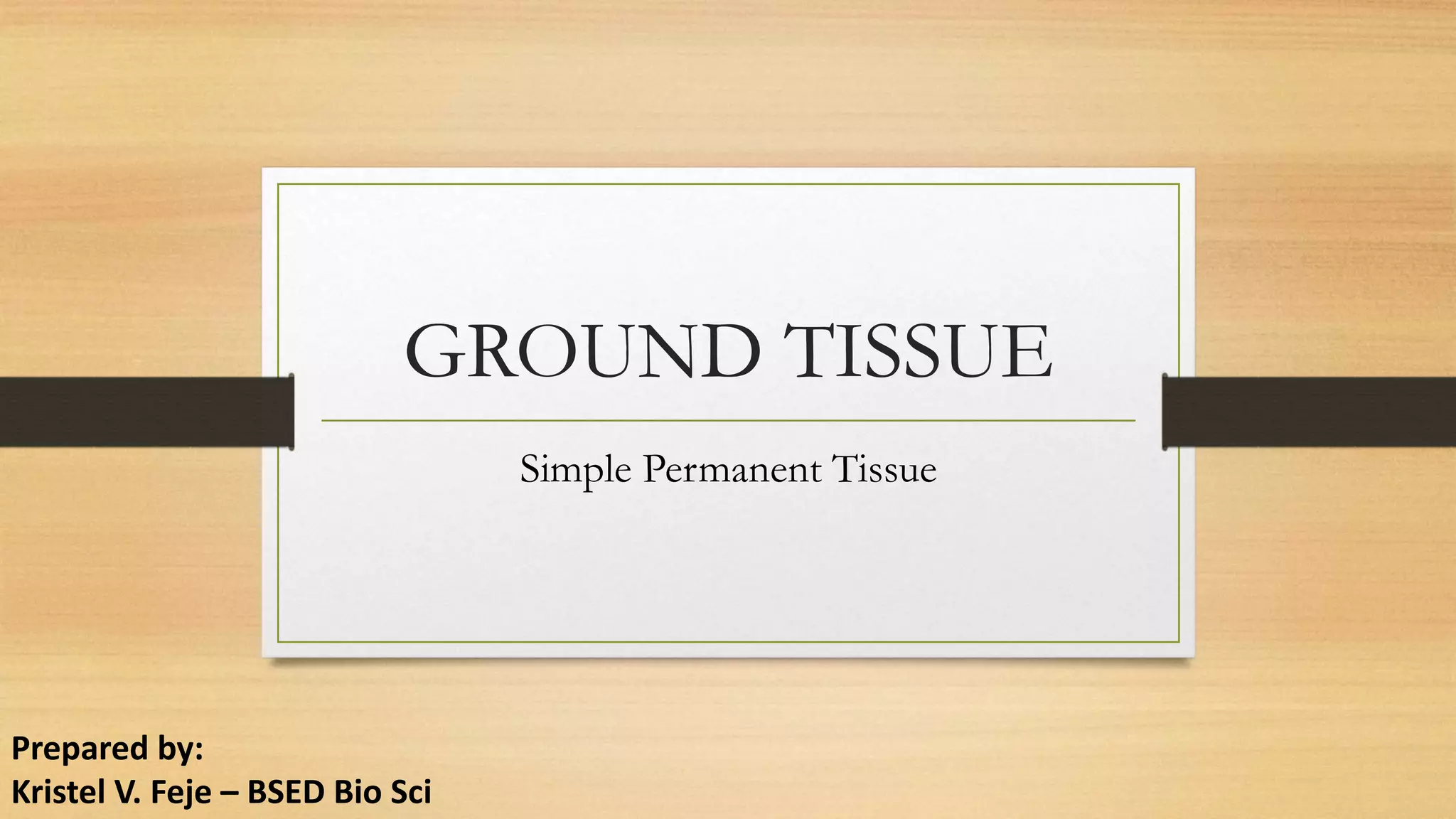 Ground tissue | PPTX