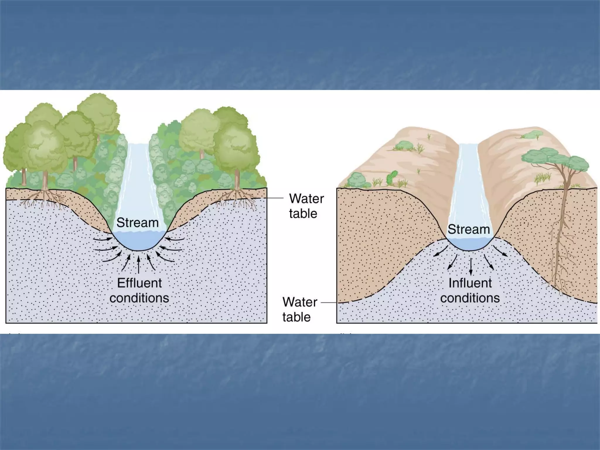 Groundwater | PDF