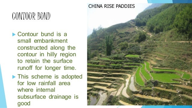 Groundwater improvement techniques
