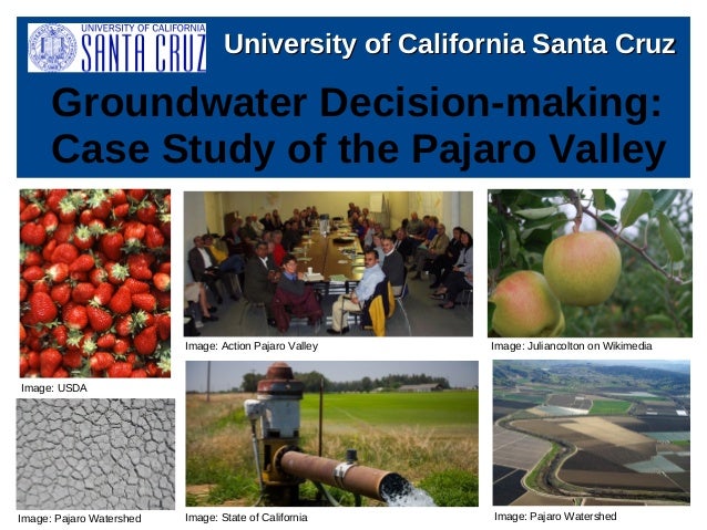 Decision making case study | MAKING DECISIONS: CASE STUDIES