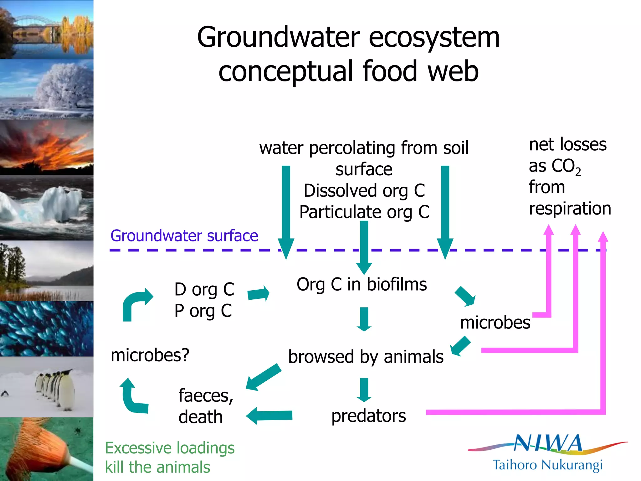 Groundwater: a living resource - Graham Fenwick | PDF
