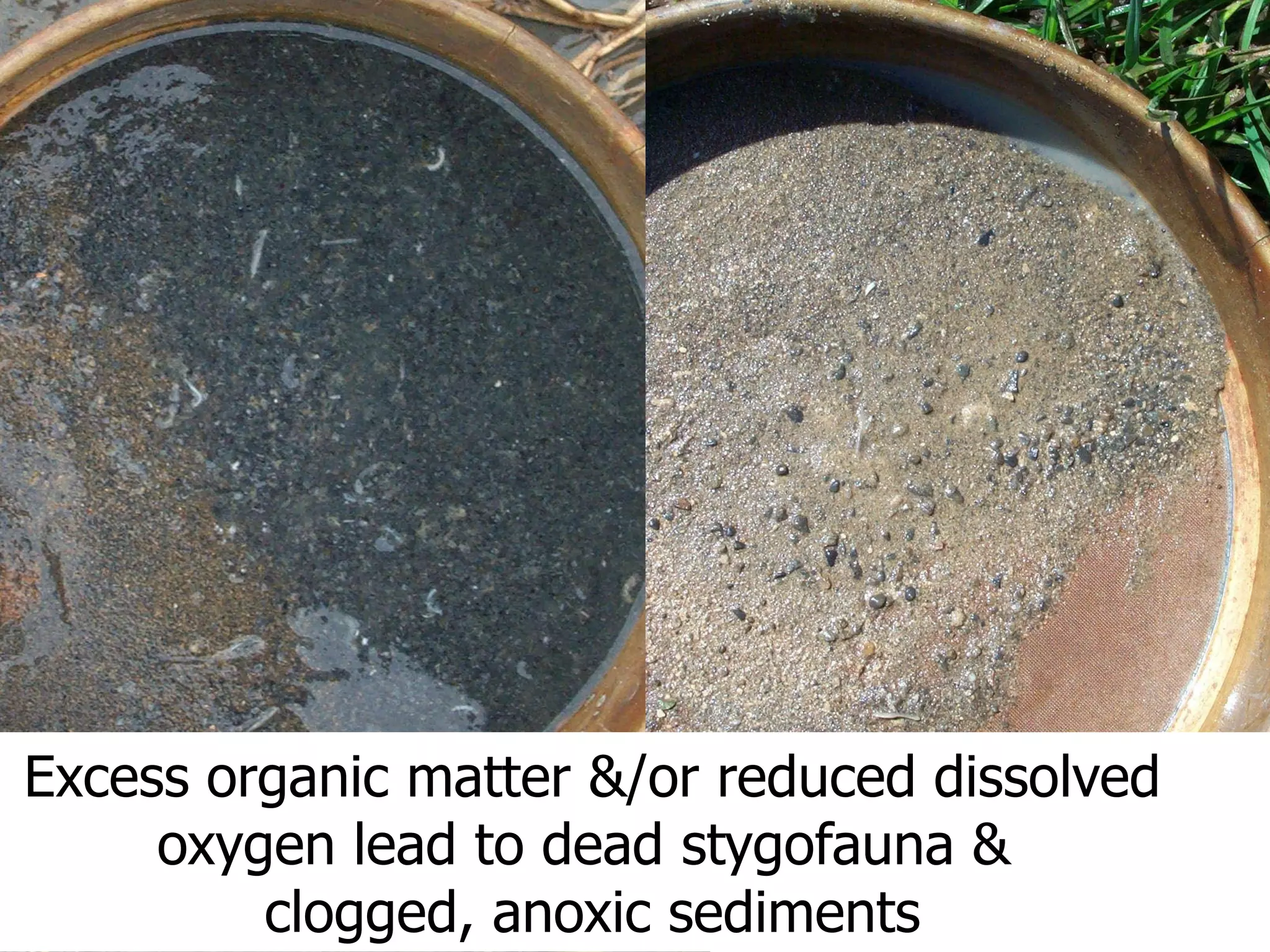 Groundwater: a living resource - Graham Fenwick | PDF