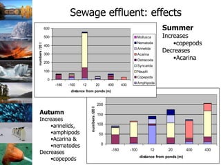 Groundwater: a living resource - Graham Fenwick | PDF