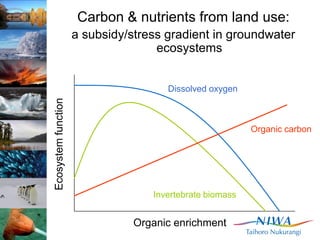 Groundwater: a living resource - Graham Fenwick | PDF