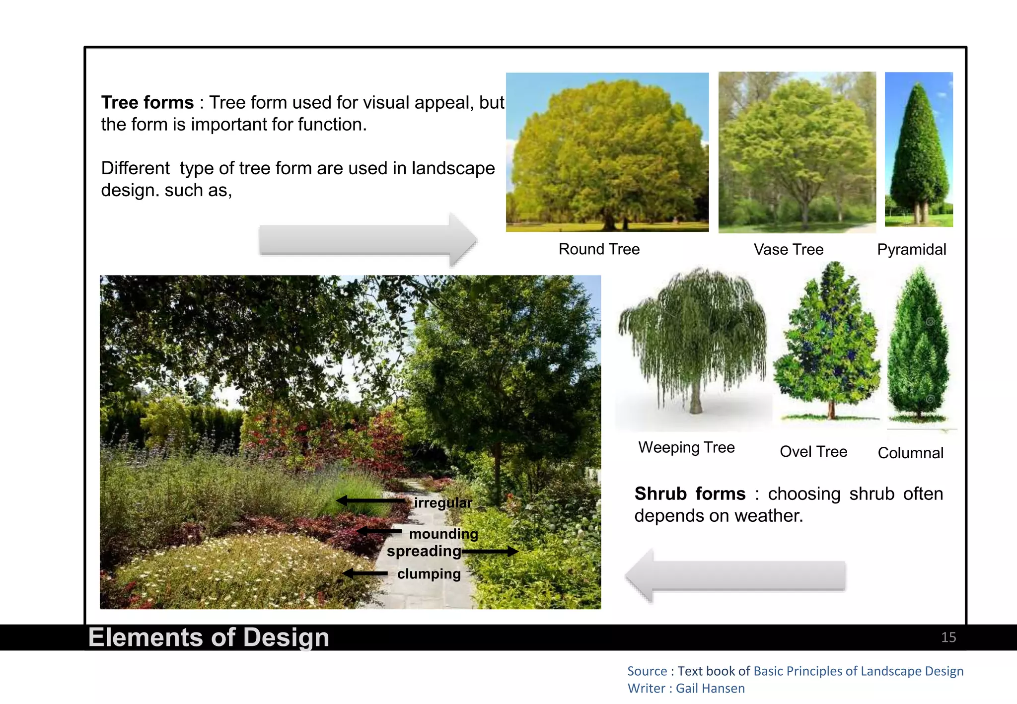 Fundamentals of Landscape Design | PPTX