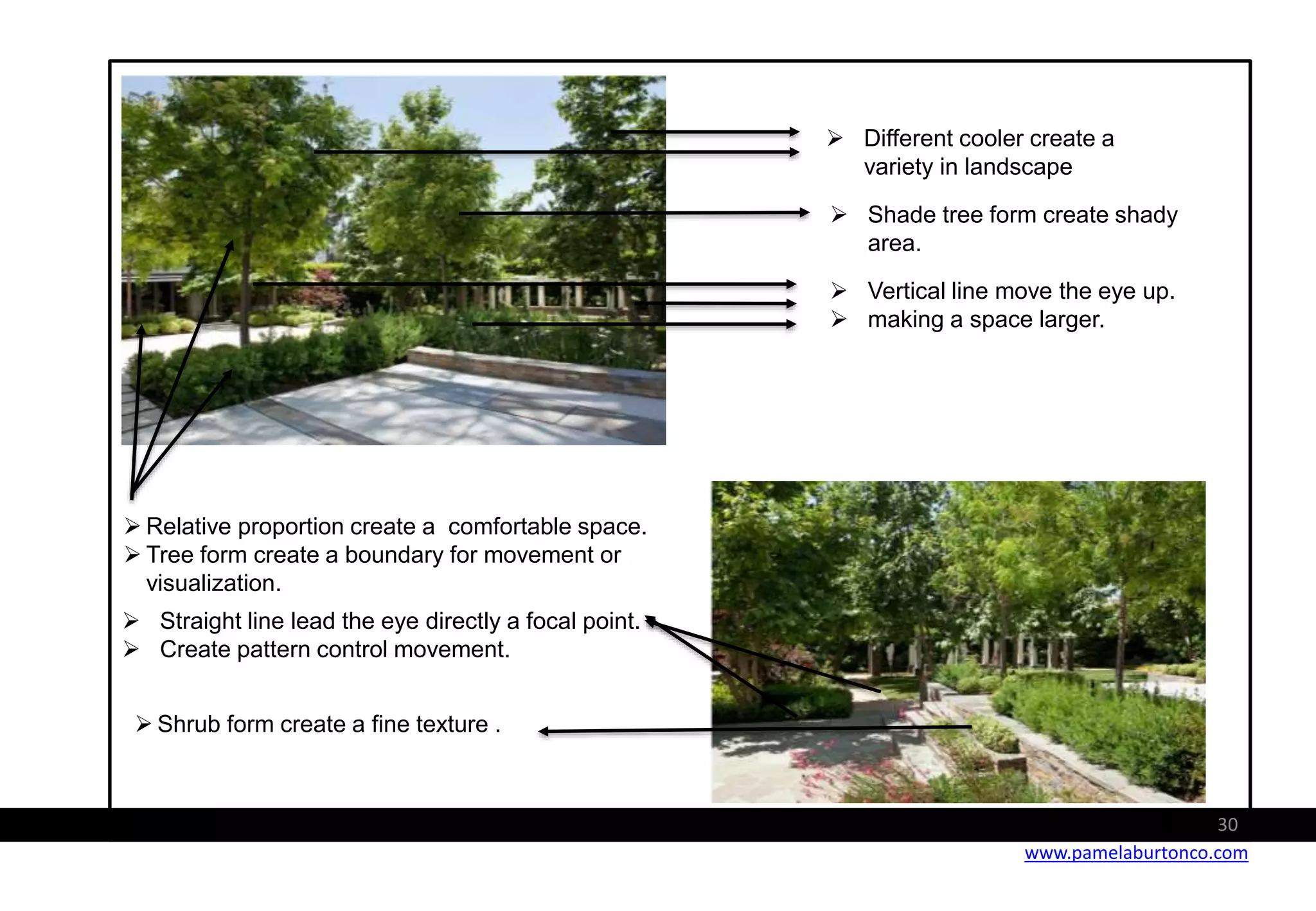 Fundamentals of Landscape Design | PPTX
