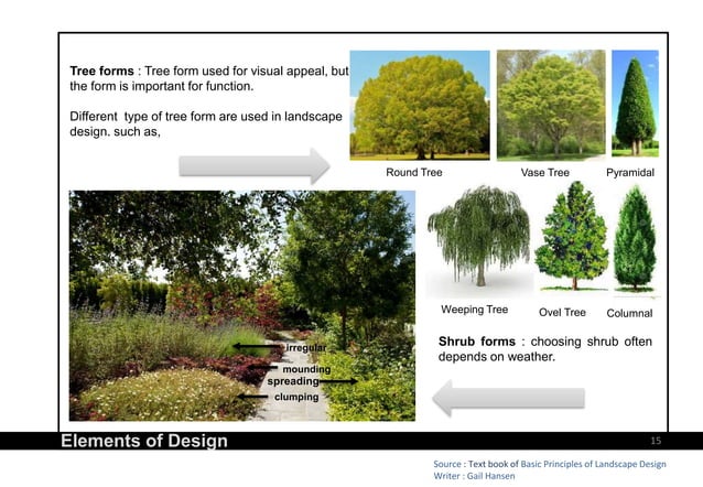 Fundamentals of Landscape Design | PPTX | Landscaping | Home & Garden