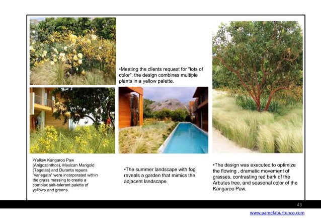 Fundamentals of Landscape Design | PPTX | Landscaping | Home & Garden