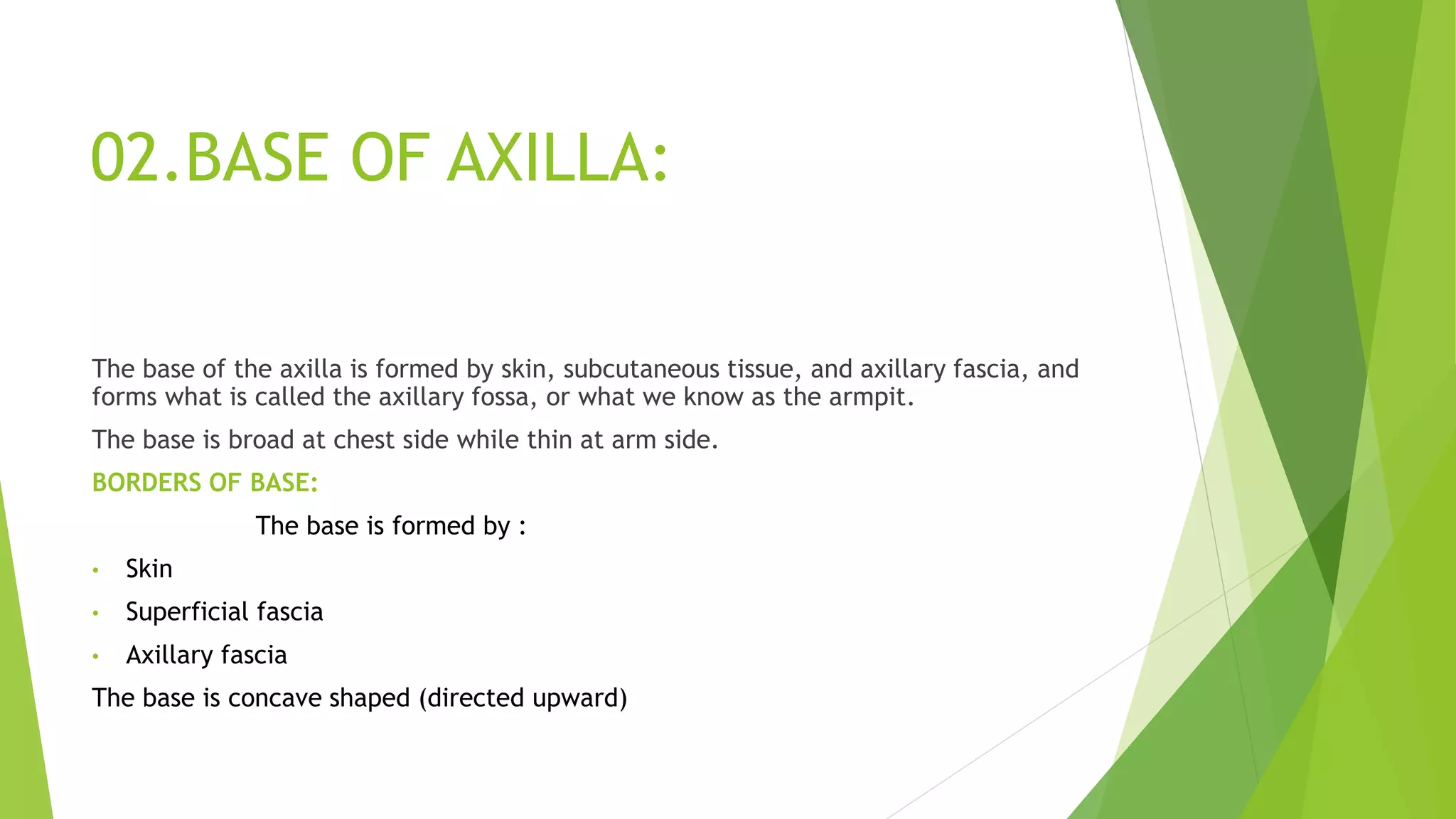 Axilla of human body | PPT