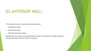 Axilla of human body | PPTX