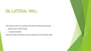 Axilla of human body | PPTX