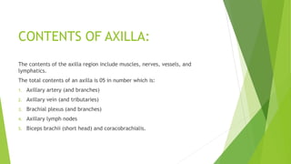 Axilla of human body | PPT | Free Download