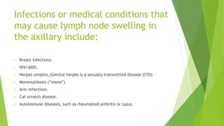 Axilla of human body | PPT