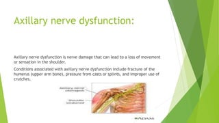 Axilla of human body | PPT