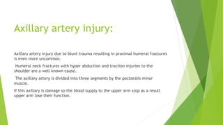 Axilla of human body | PPT
