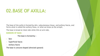 Axilla of human body | PPT | Free Download