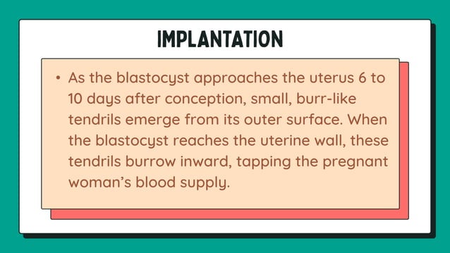 Children and Adolescent Learning Principle | PPT