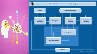 Cognitive ergonomics with its application and example.pptx