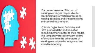 Cognitive ergonomics with its application and example.pptx