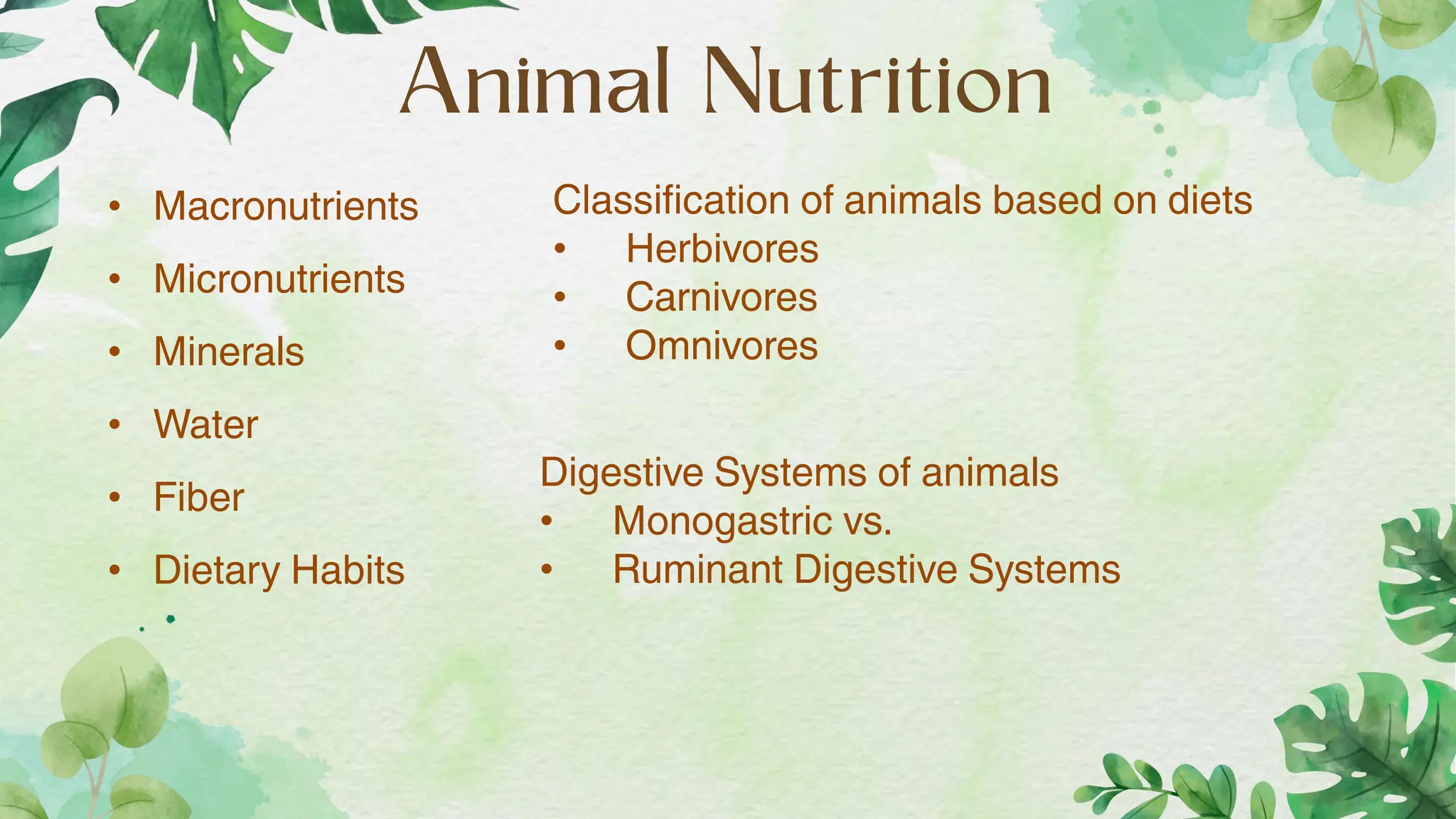 G11 STEM GENERAL BIOLOGY - ANIMAL AND PLANT NUTRITION | PDF