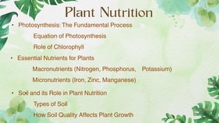 G11 STEM GENERAL BIOLOGY - ANIMAL AND PLANT NUTRITION | PDF