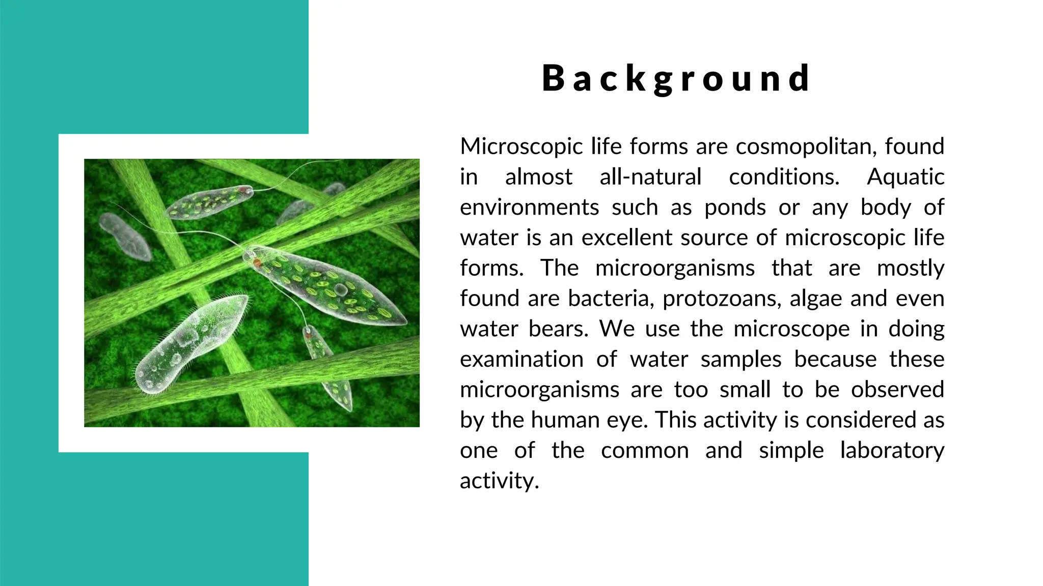 Examination of microorganisms from pond and water sample | PPTX