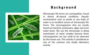 Examination of microorganisms from pond and water sample | PPTX