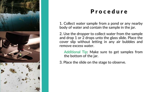 Examination of microorganisms from pond and water sample | PPTX ...