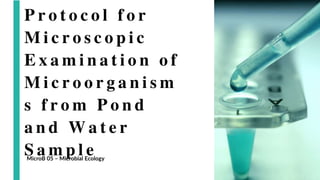 Examination of microorganisms from pond and water sample | PPT