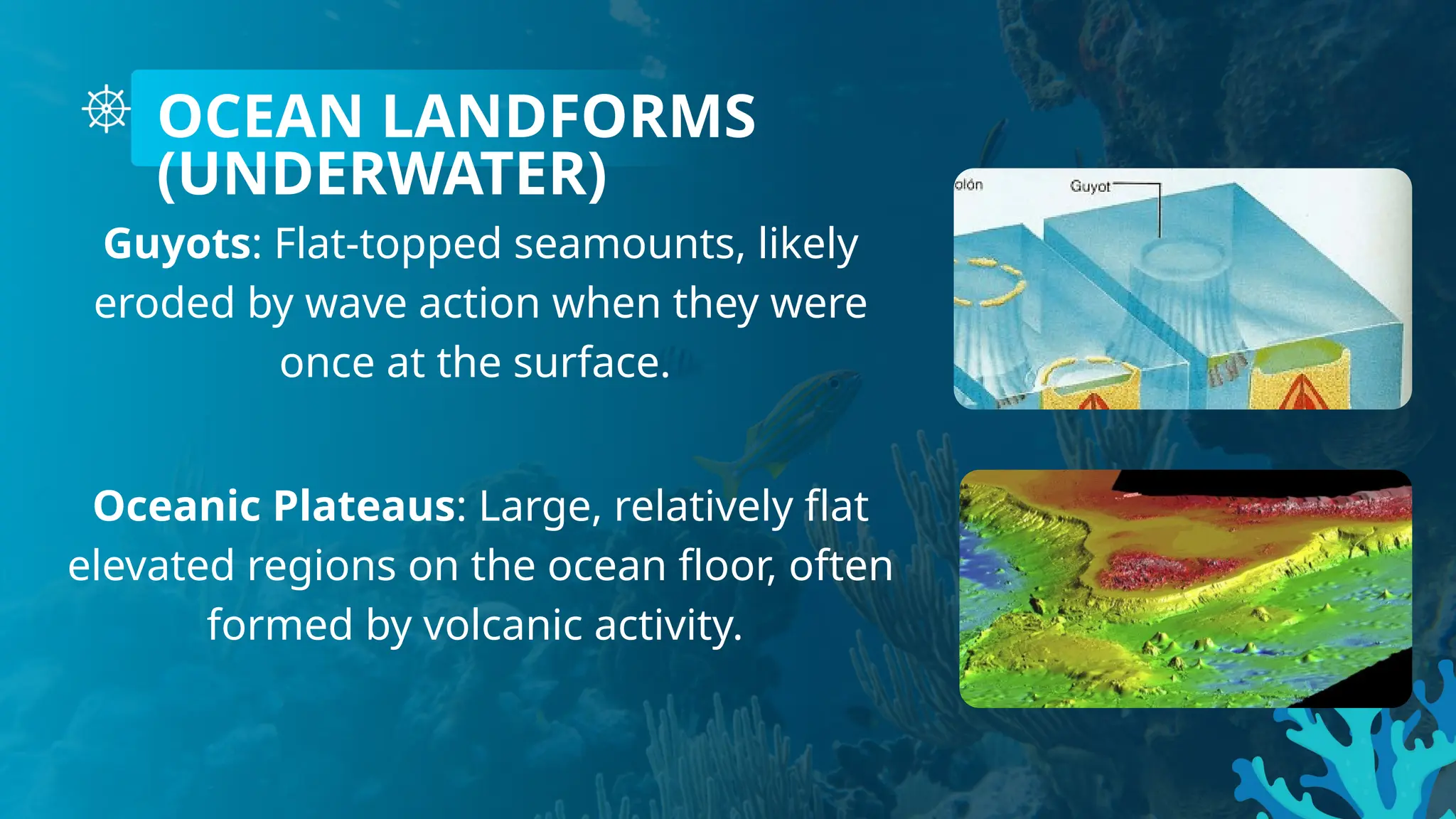 Ocean's landforms, Climates, Aquatic and Terrestrial biomes | PPT