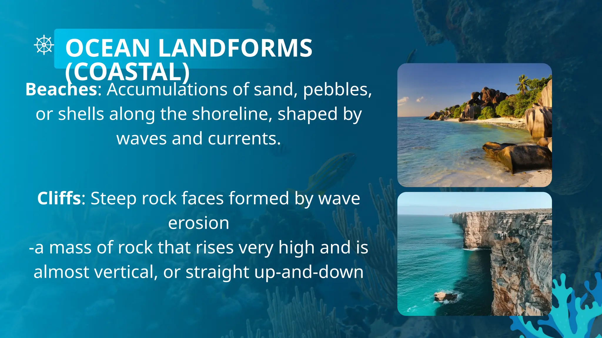 Ocean's landforms, Climates, Aquatic and Terrestrial biomes | PPT