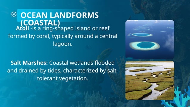 Ocean's landforms, Climates, Aquatic and Terrestrial biomes | PPT