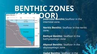 Ocean's landforms, Climates, Aquatic and Terrestrial biomes | PPTX
