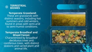 Ocean's landforms, Climates, Aquatic and Terrestrial biomes | PPTX