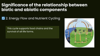 BIOTIC AND ABIOTIC COMPONENTS/ RELATIONSHIP | PDF