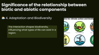 BIOTIC AND ABIOTIC COMPONENTS/ RELATIONSHIP | PDF