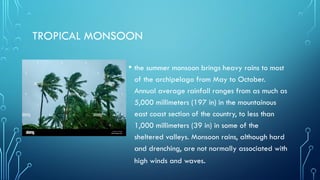 group-11_Typhoon-signals-and-the-prevailing-meteorological-conditions ...