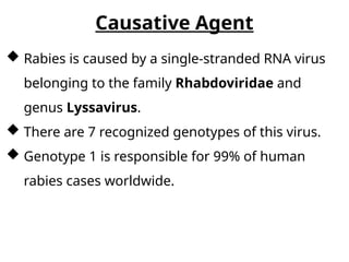 Treatment and management of rabies .pptx