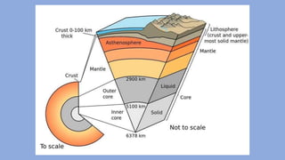 Group-1_Endogenic.pptx