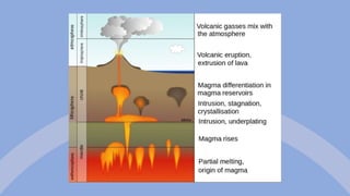 Group-1_Endogenic.pptx