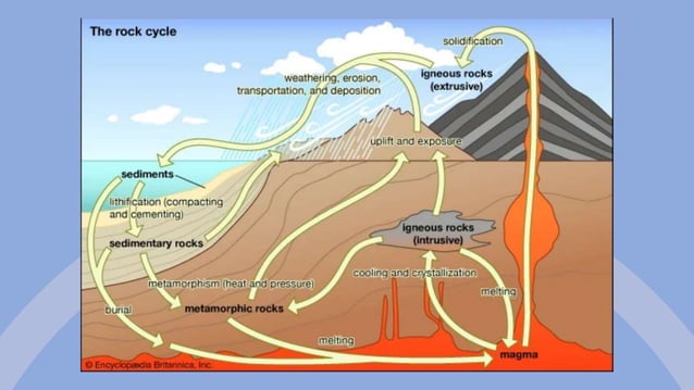 Group-1_Endogenic.pptx