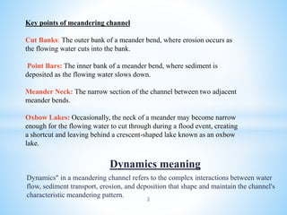 Channel dynamics of meandering, straight and braided rivers.pdf