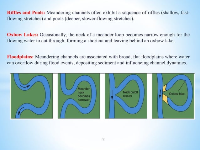 Channel dynamics of meandering, straight and braided rivers.pdf