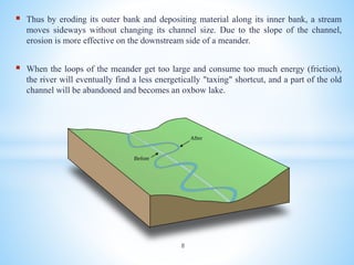 Channel dynamics of meandering, straight and braided rivers.pdf