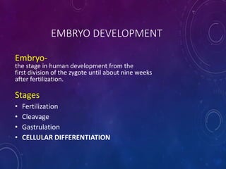 Embro development : Physiology of pregnancy | PPTX