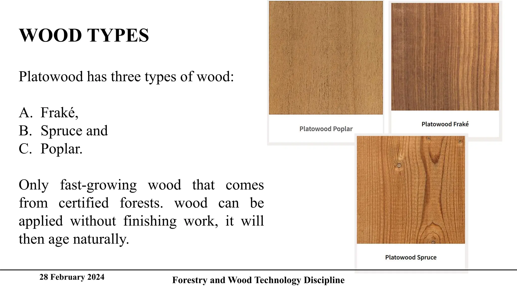 PlatoWood: A special type of wood........ | PPTX